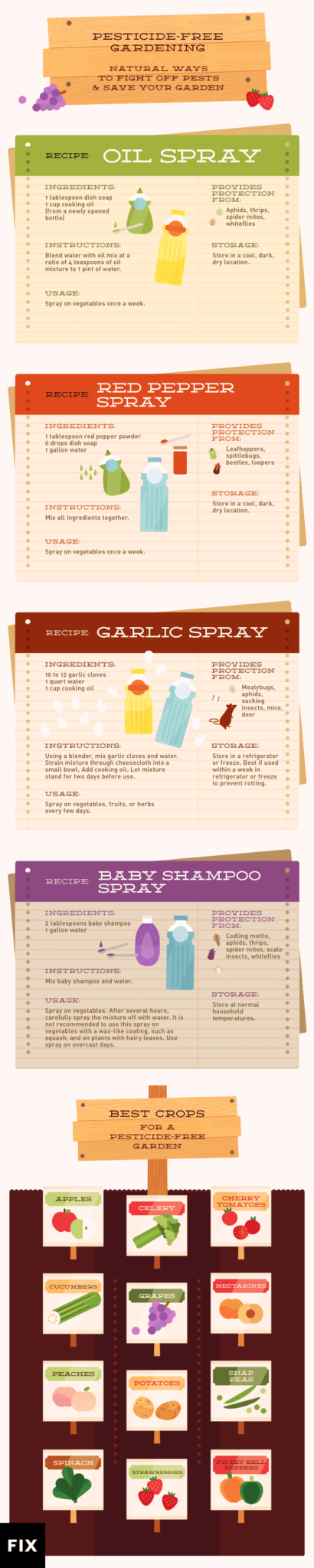 How to Excel at Pesticide-Free Gardening - Infographic