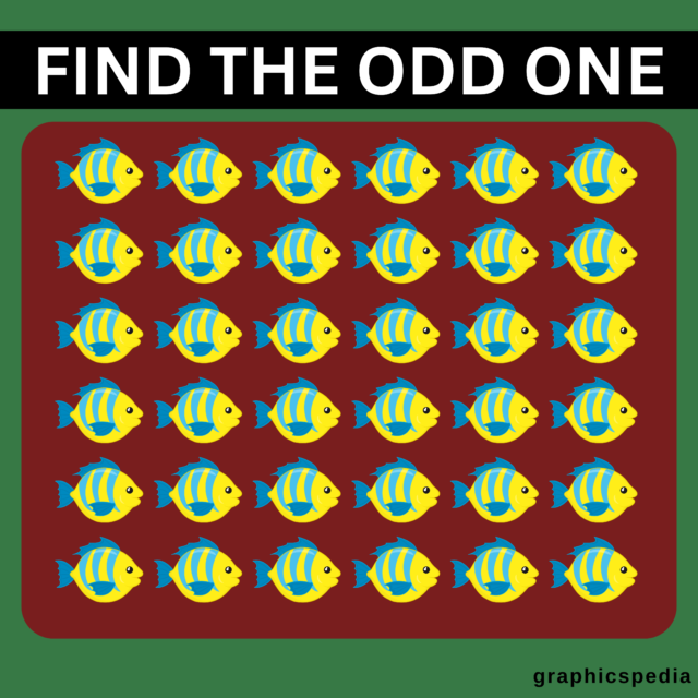 Sharpen Your Eye Can You Find The Odd One Out